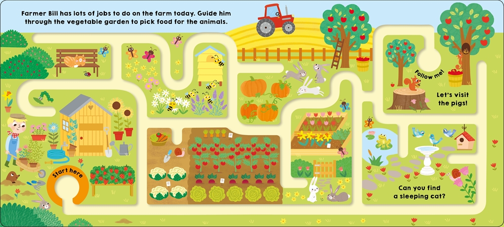 Maze Book: Follow Me Farm