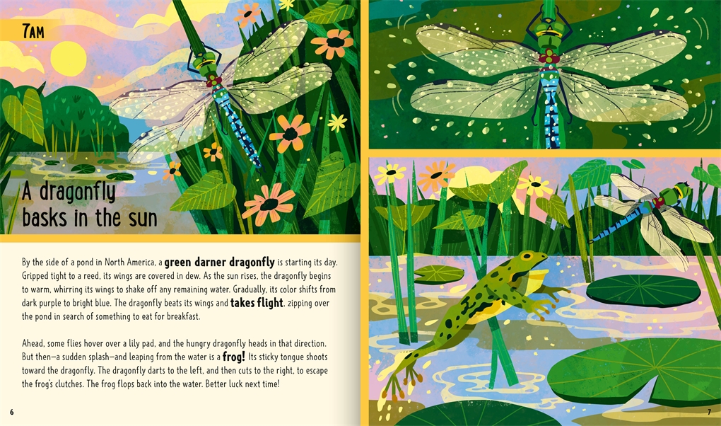 Bugs (A Day in the Life)