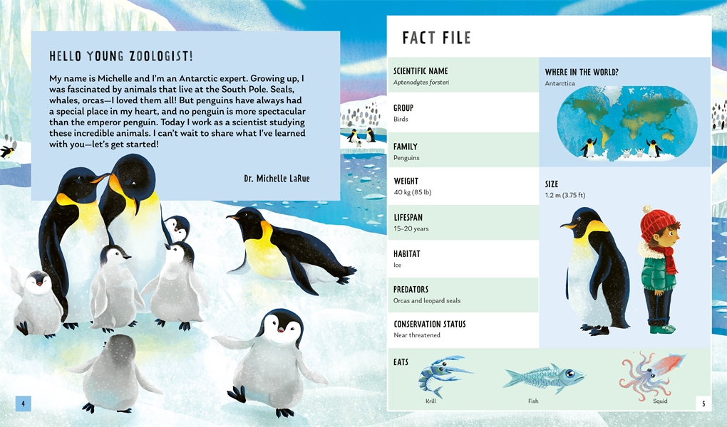 Emperor Penguin (Young Zoologist)