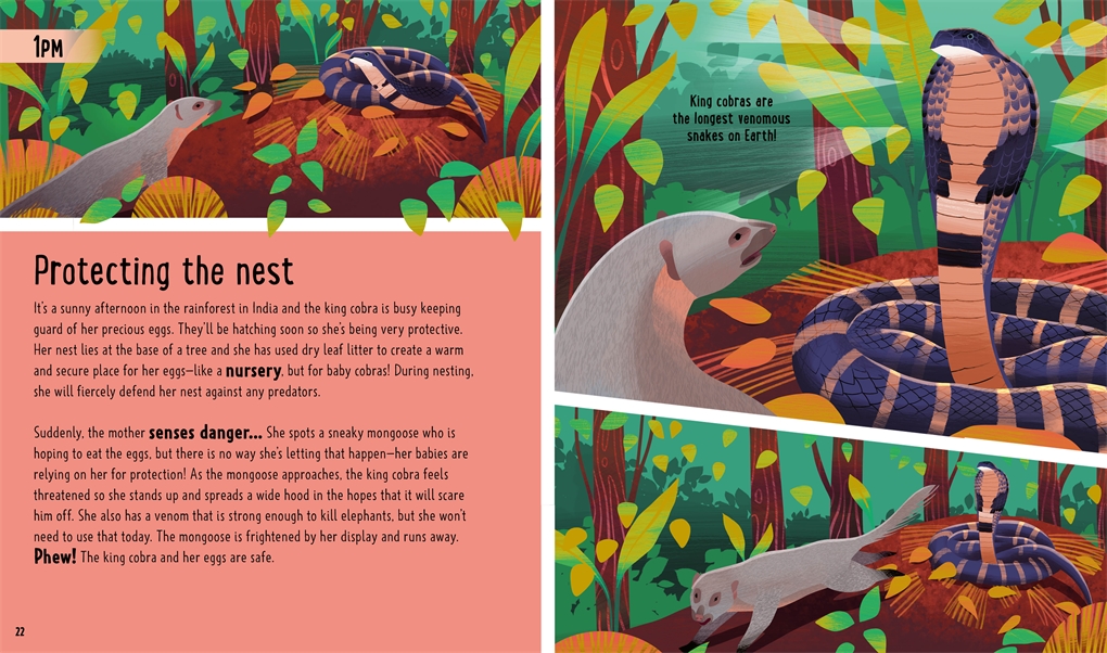 Snakes (A Day in the Life)