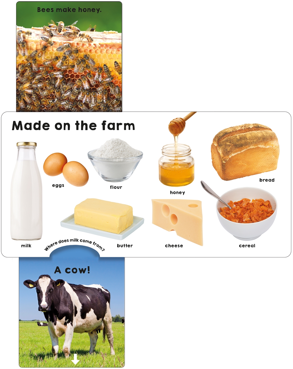 Farm (Slide & Surprise!)