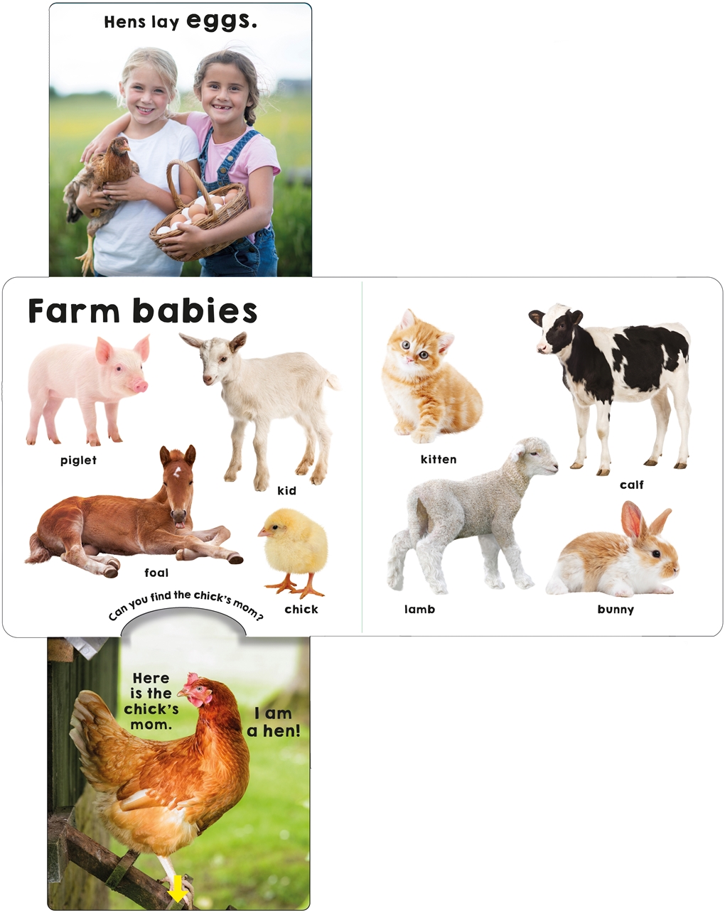 Farm (Slide & Surprise!)