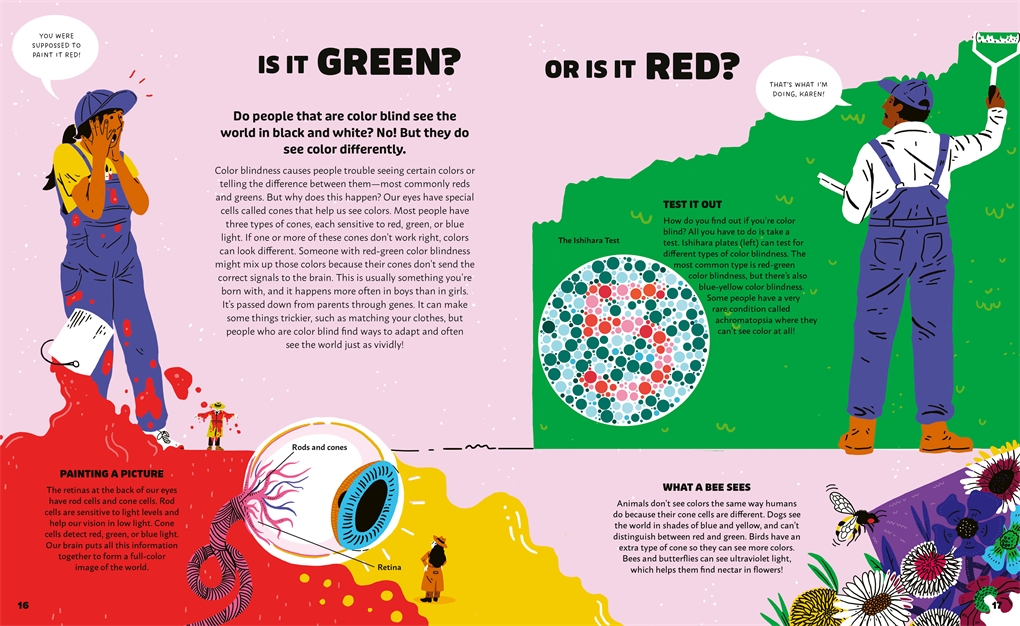 Mysteries of the Human Body