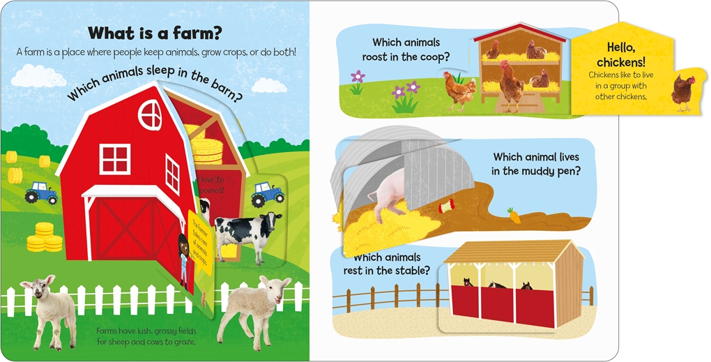 Farm (Little Kids, Big Questions)