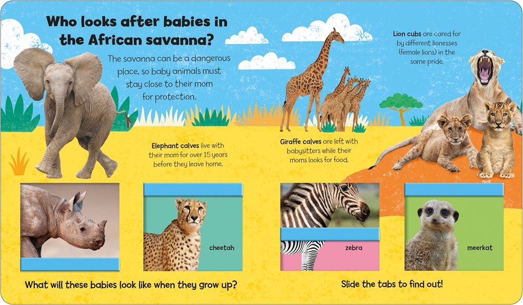 Baby Animals (Little Kids, Big Questions)