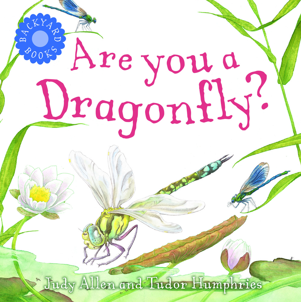Are You a Dragonfly? | Judy Allen | Macmillan