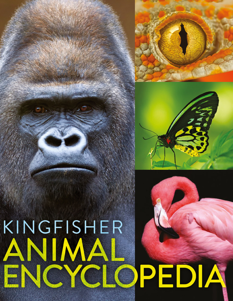The Kingfisher Animal Encyclopedia | David Burnie | Macmillan