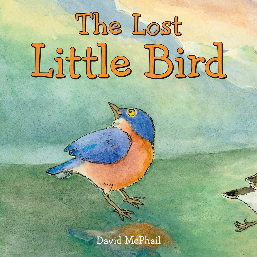 The Lost Little Bird | David McPhail | Macmillan